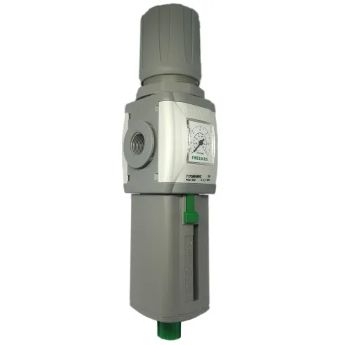 Фильтр-регулятор Pneumax Airplus N171AEZCCSLB купить в интернет-магазине | Промышленная ...